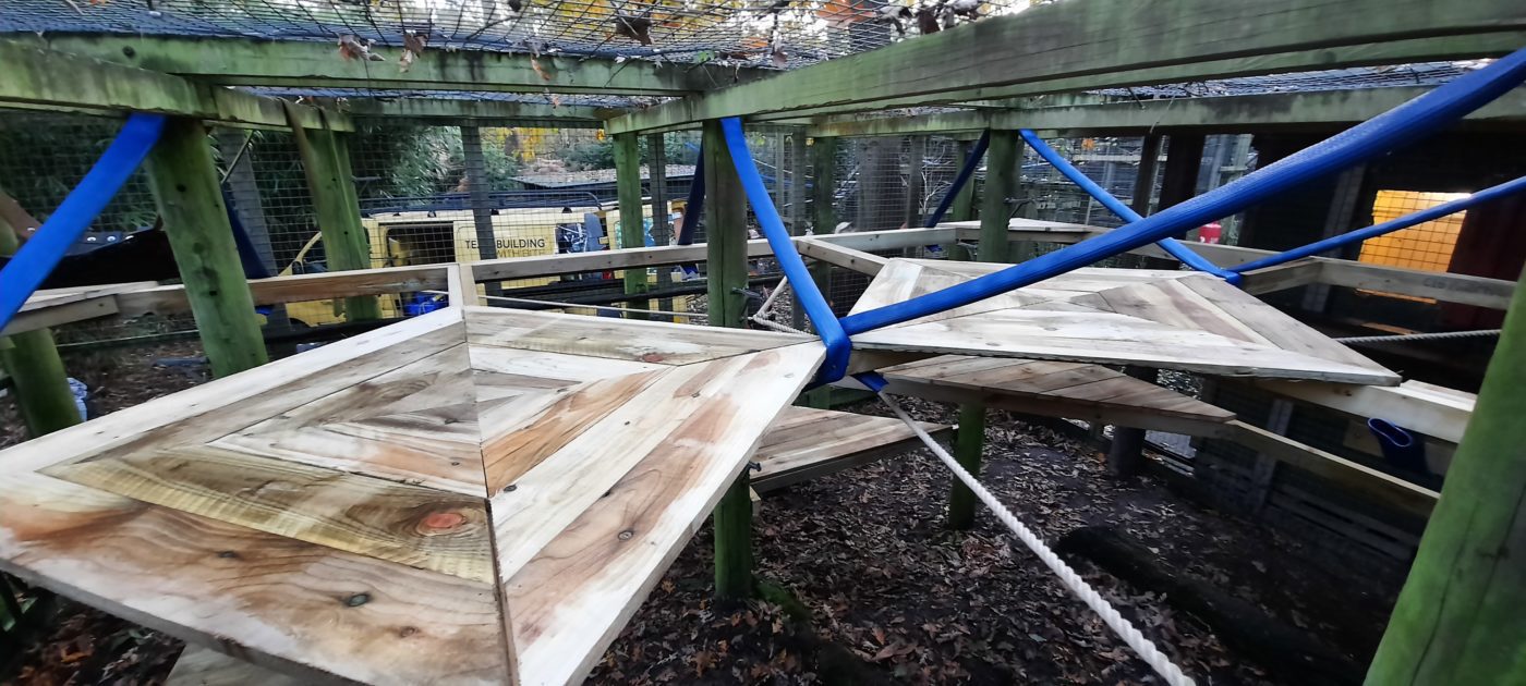 Enclosure builds - Team Building With Bite