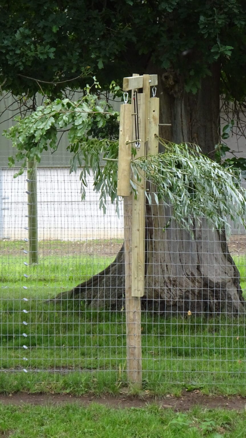 Fence mounted bungee browser - Team Building With Bite